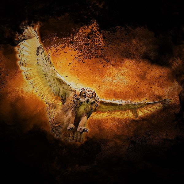 Infernal Owl – Eden's Apple